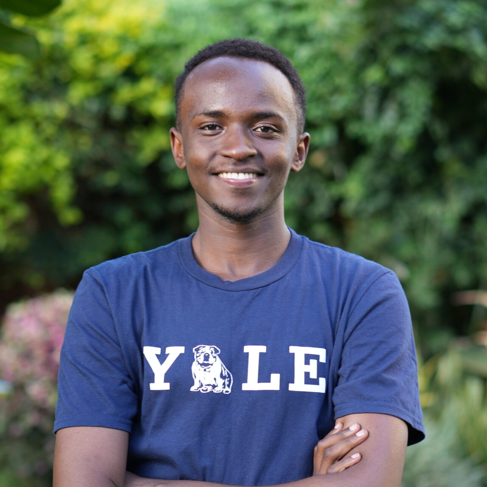 Isomo Homepage - Isomo