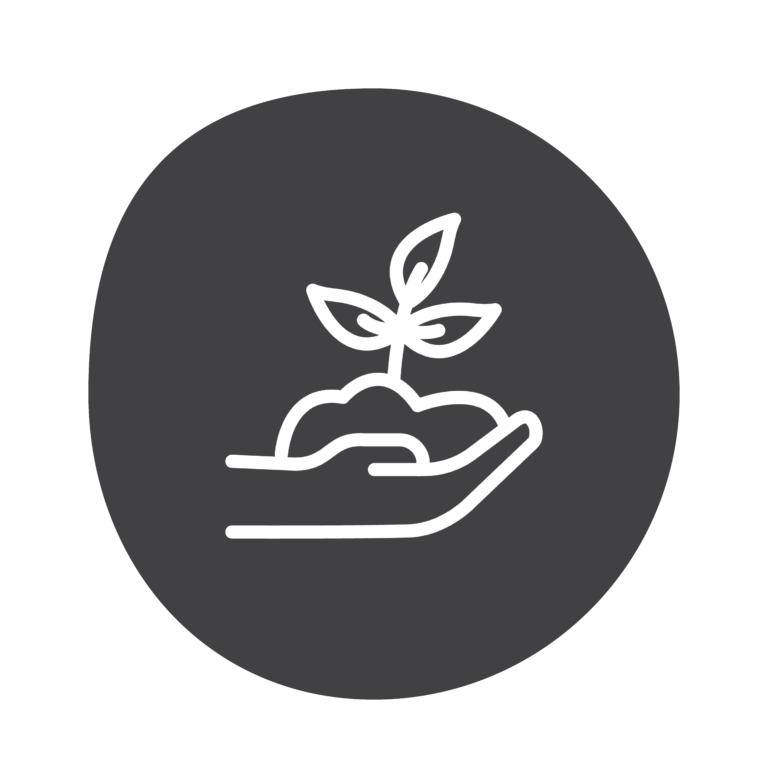 Isomo Circles - Isomo